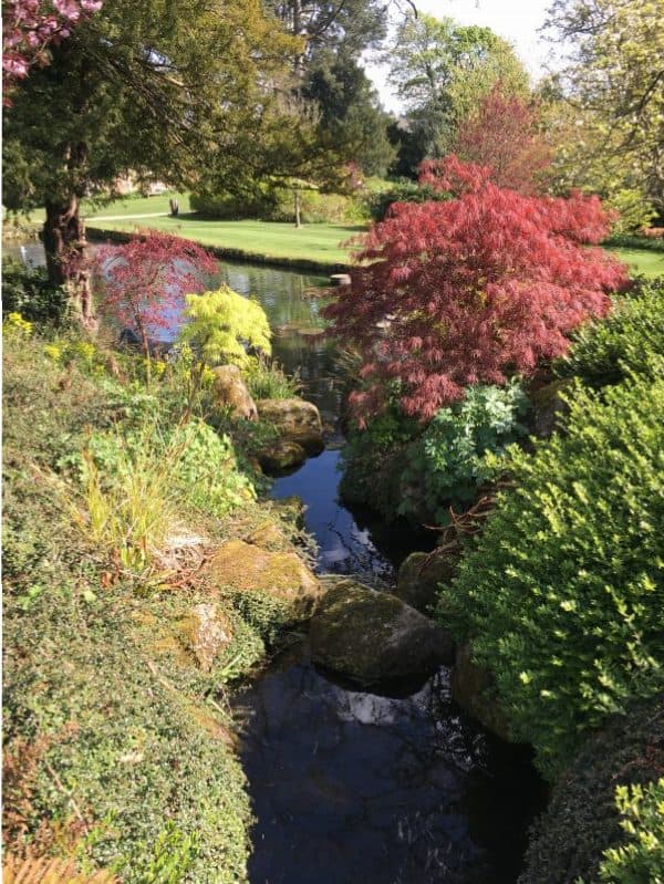 Visit to the Gardens of Chilworth Manor | Surrey Hills Society