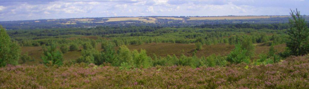 Ash-Ranges-2 | Surrey Hills Society