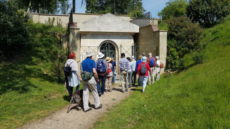 Deepdene Trail and Betchworth Castle | Surrey Hills Society