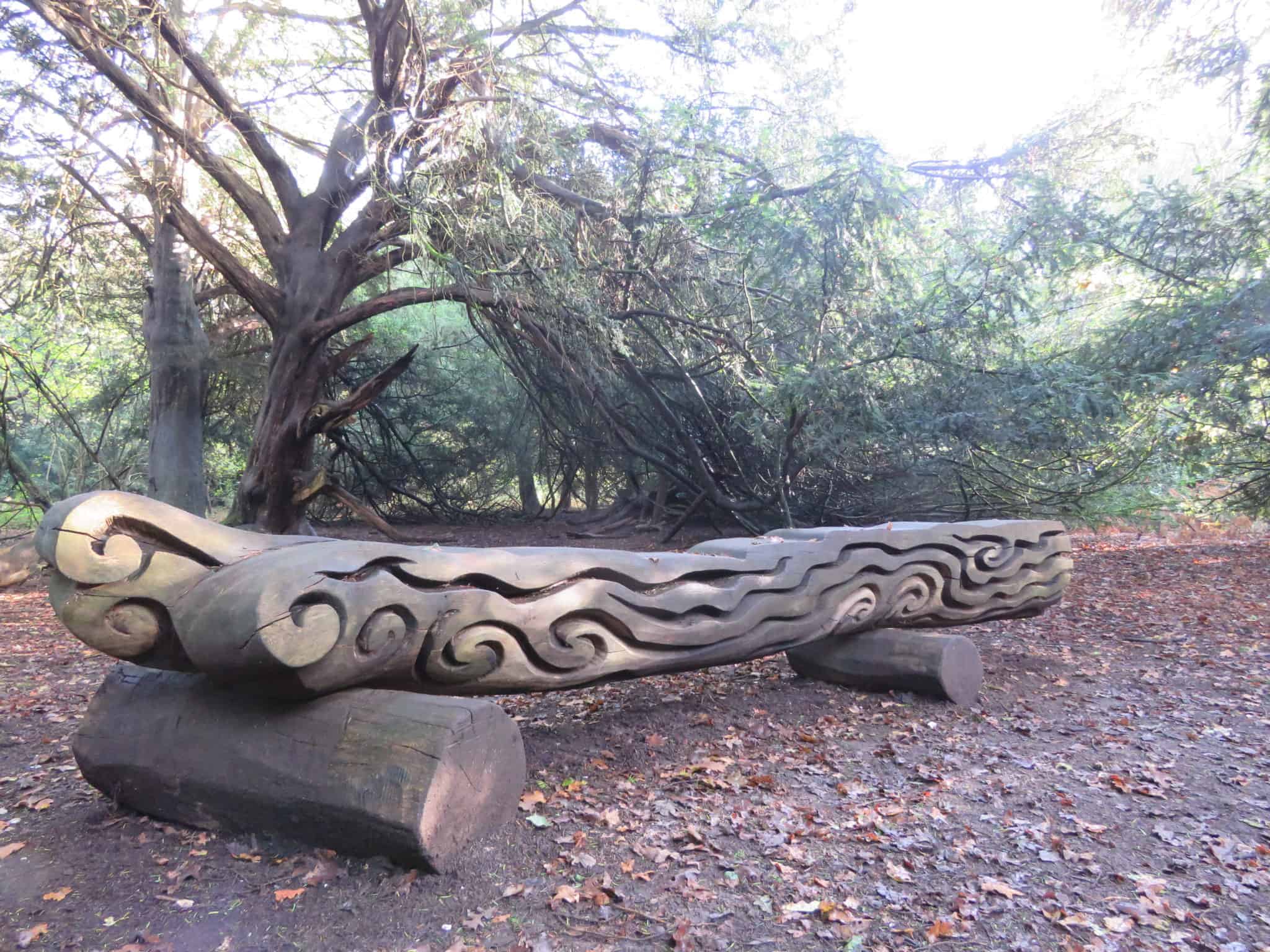 Explore Newlands Corner | Surrey Hills Society