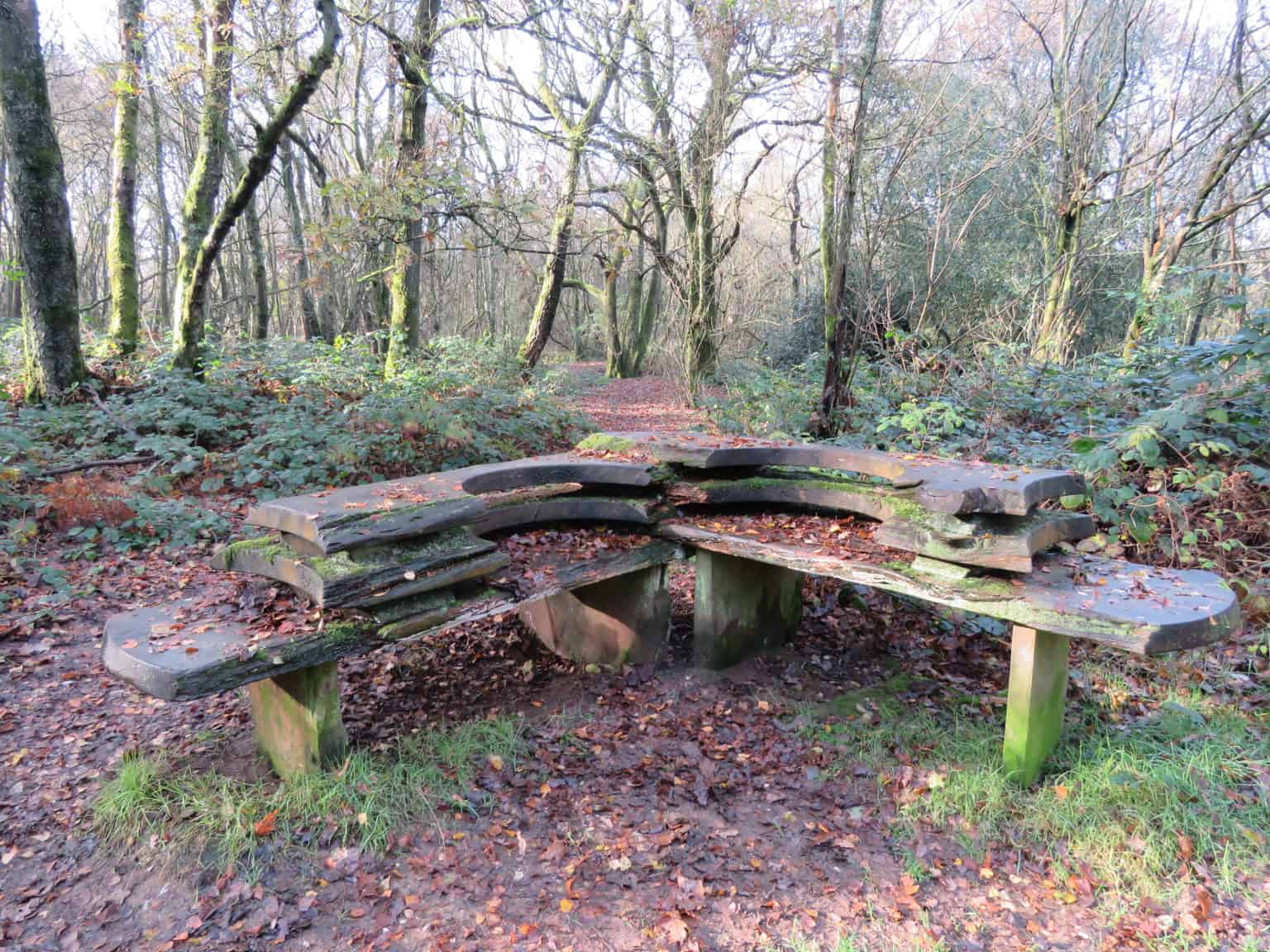 Explore Newlands Corner | Surrey Hills Society