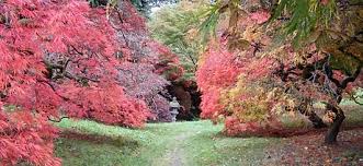 A Visit to Ramster Garden | Surrey Hills Society