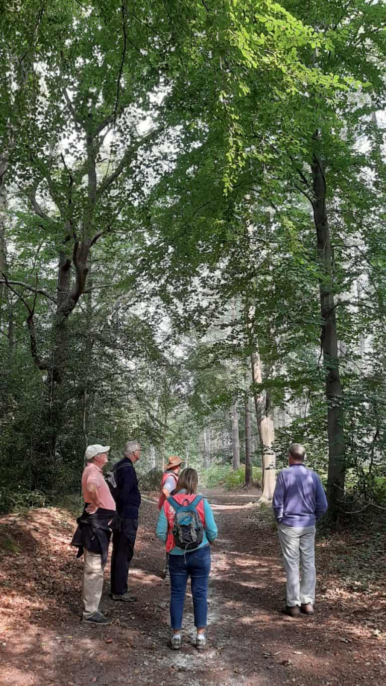 Pirbright woodland walk | Surrey Hills Society