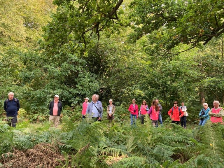 Pirbright woodland walk | Surrey Hills Society