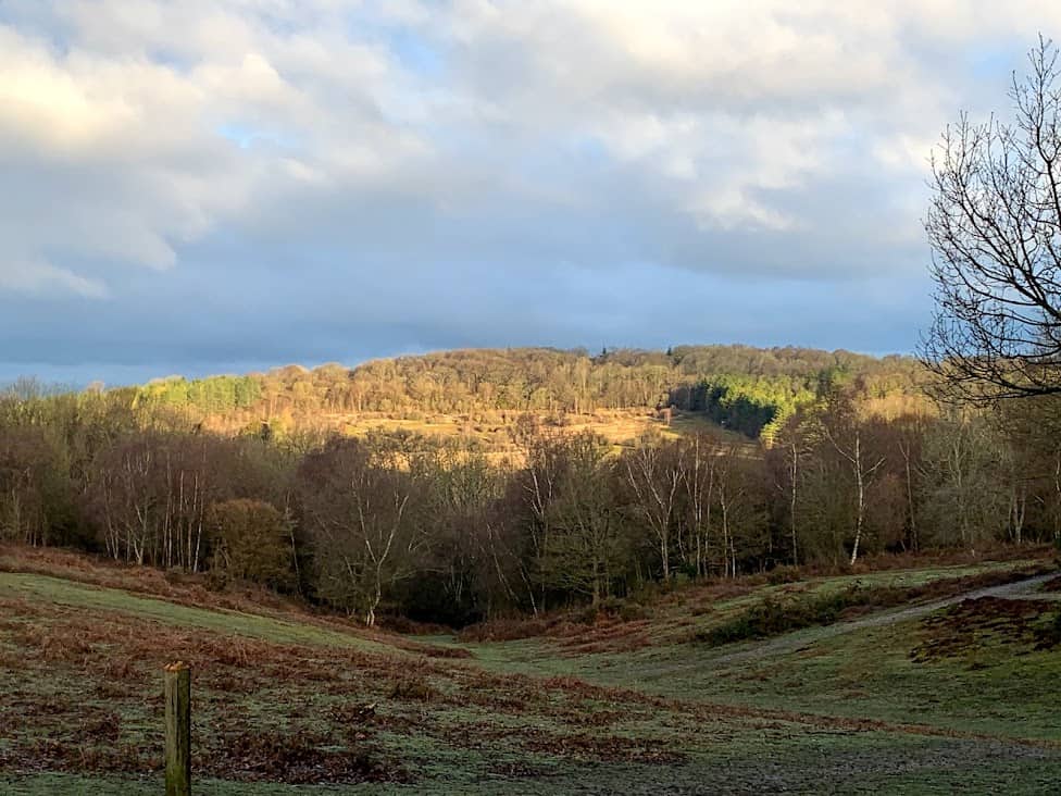 Walk off your Christmas Pudding | Surrey Hills Society
