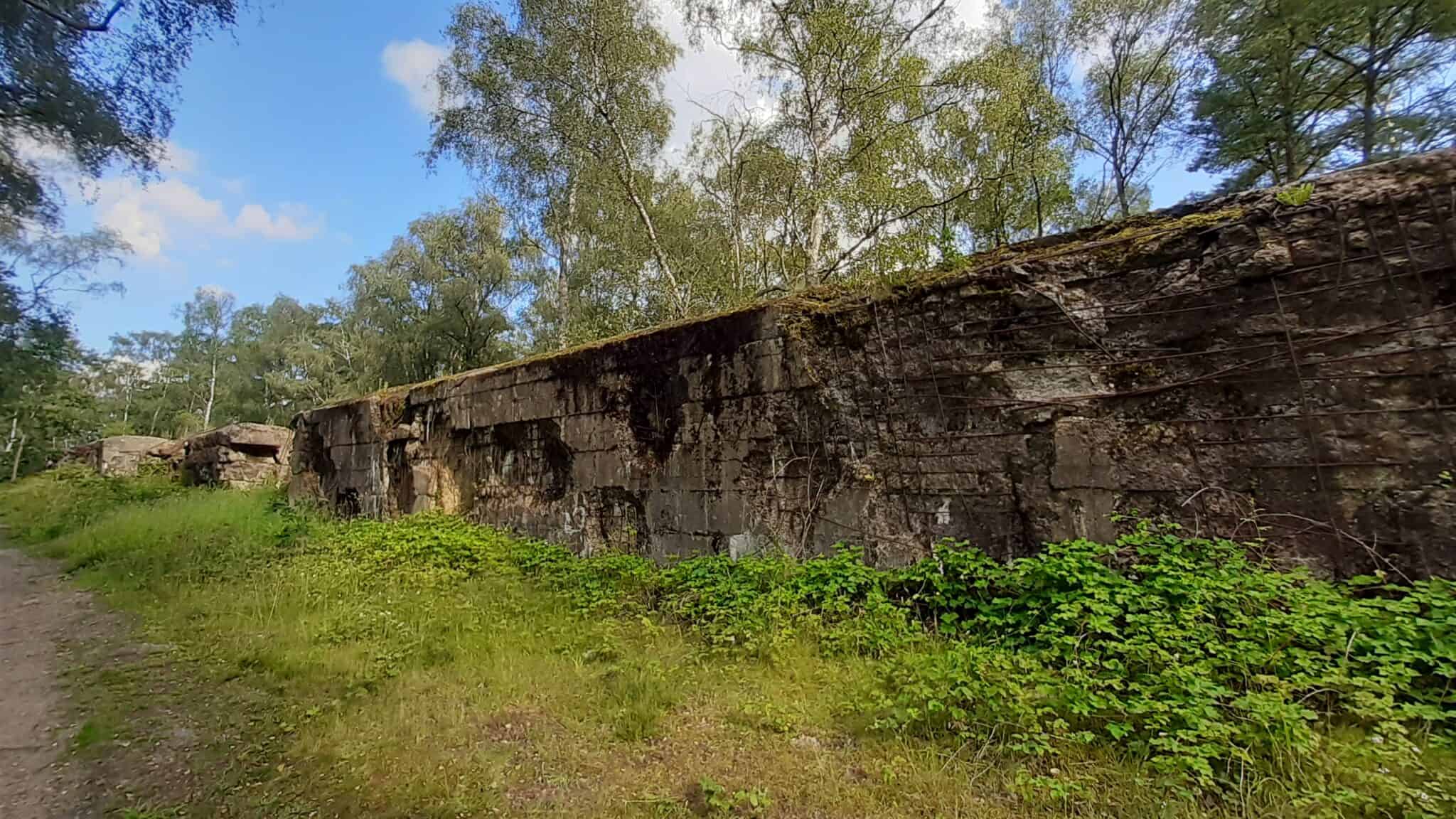 Explore Hankley Common and the Atlantic Wall | Surrey Hills Society