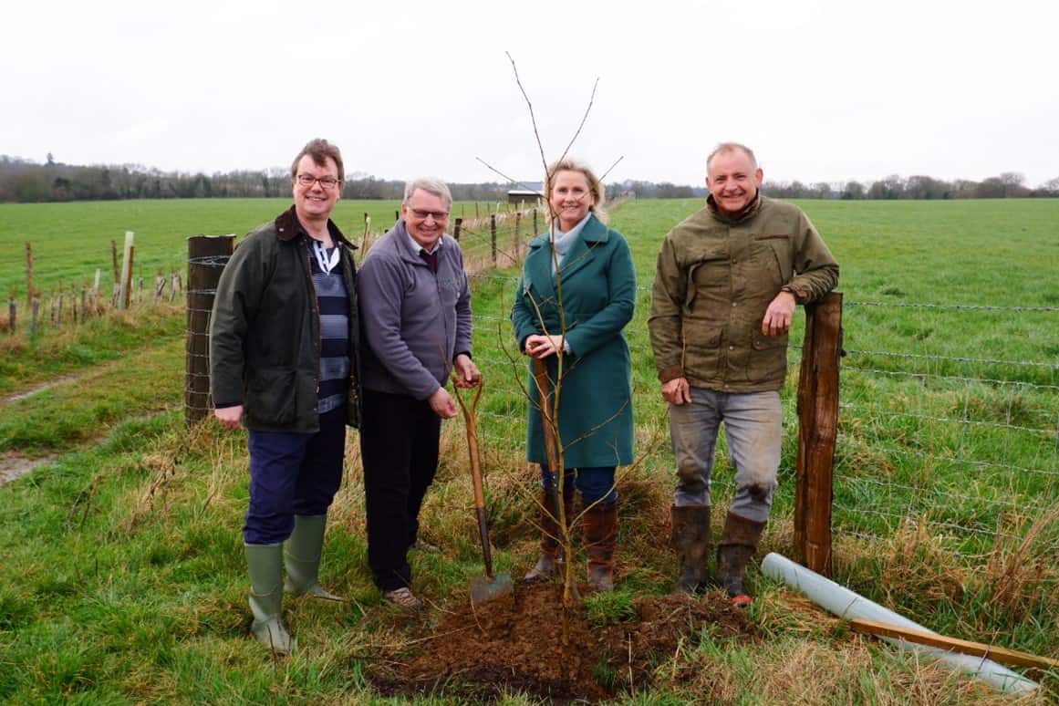 Surrey Hills & Queens Green Canopy | Surrey Hills Society