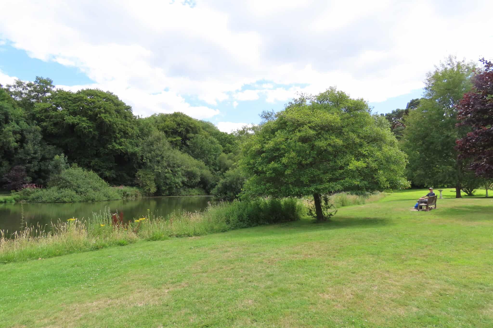 Trees and Flora around Hascombe village | Surrey Hills Society
