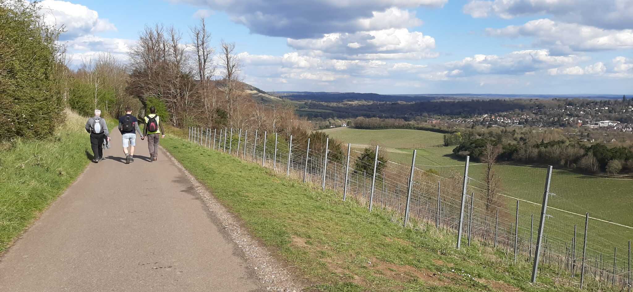 Explore Denbies Hillside | Surrey Hills Society