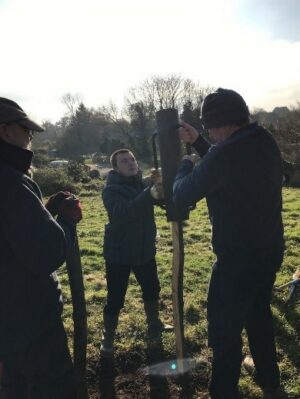 Work Experience Opportunities with Halow | Surrey Hills Society