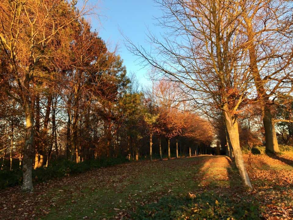 Explore Deepdene – free guided walk | Surrey Hills Society