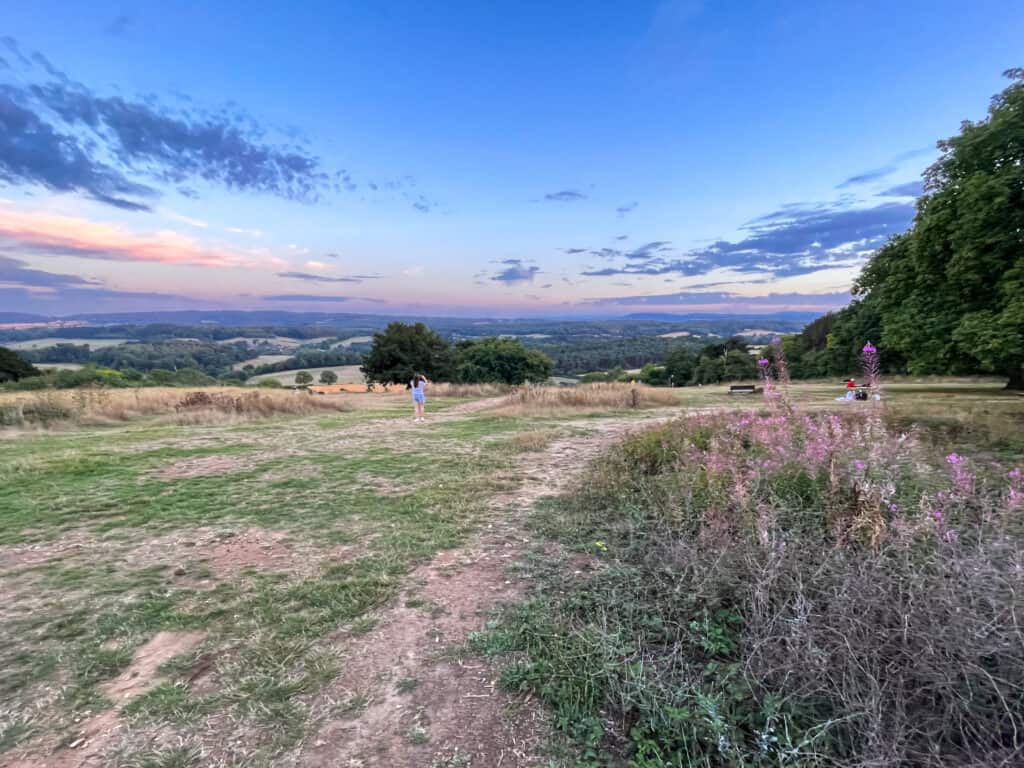 Explore Puttenham Common – free guided walk | Surrey Hills Society