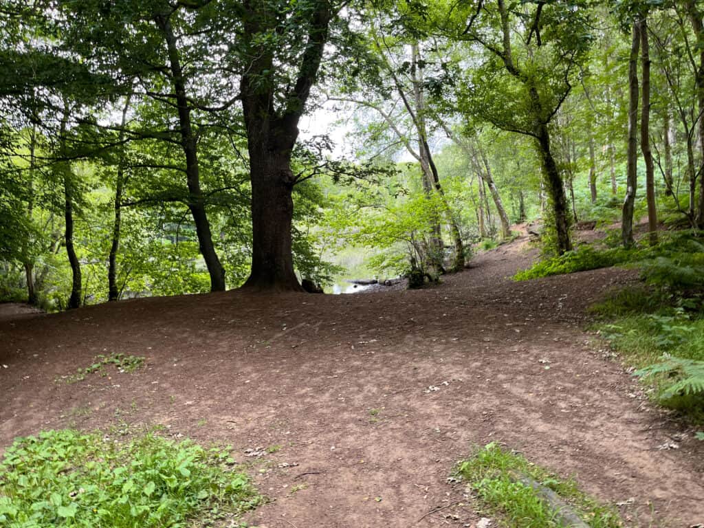 Explore Puttenham Common – free guided walk | Surrey Hills Society