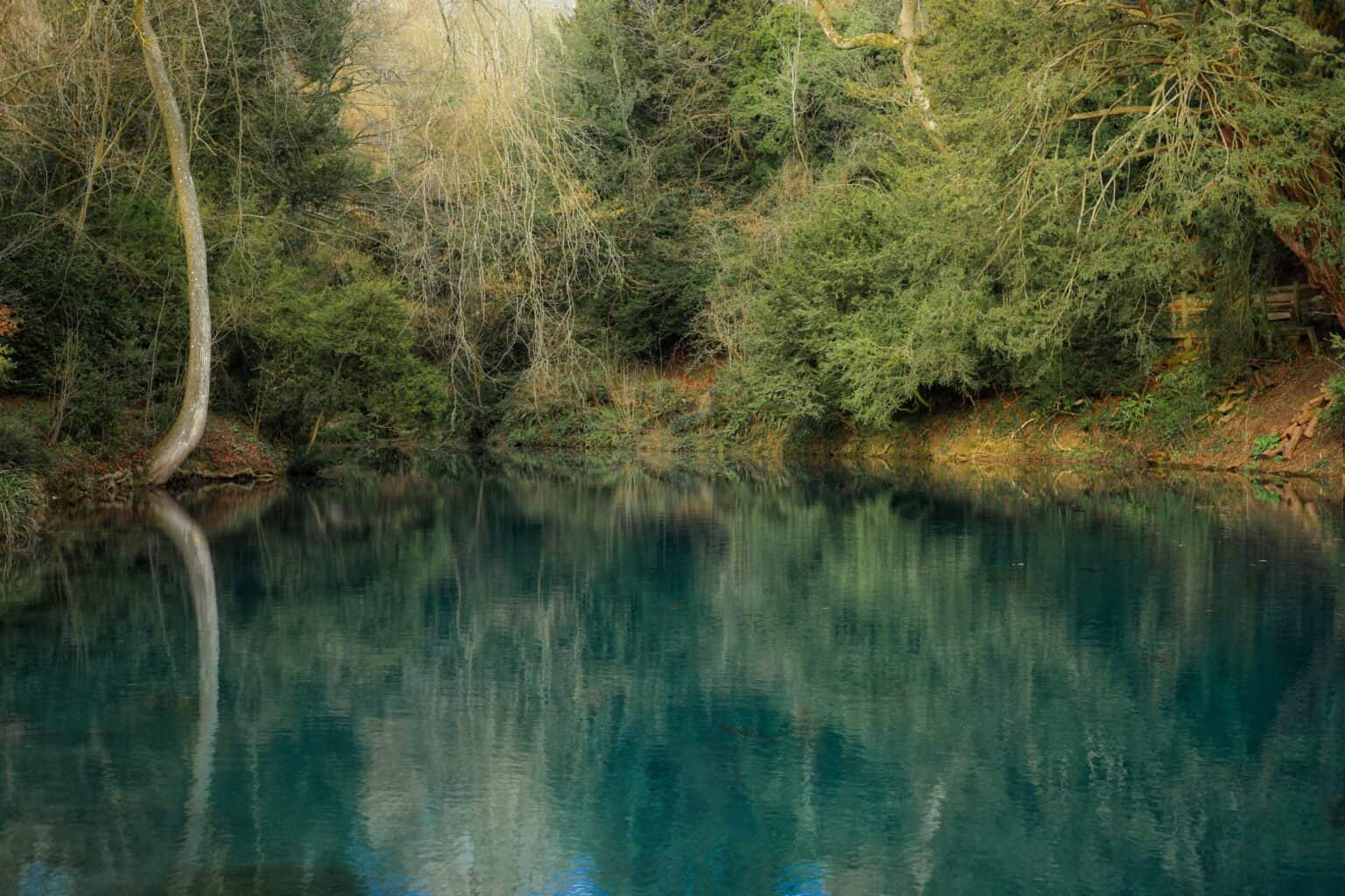 Explore Newlands Corner, St Martha’s Hill and Silent Pool – 6 mile walk ...