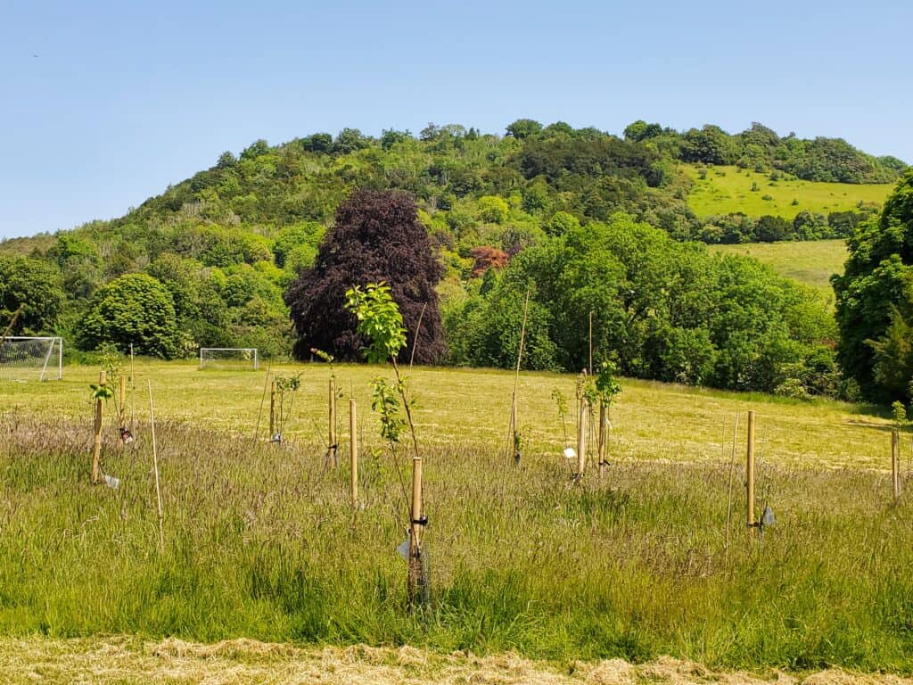 A visit to Patchworking Gardens in Dorking | Surrey Hills Society