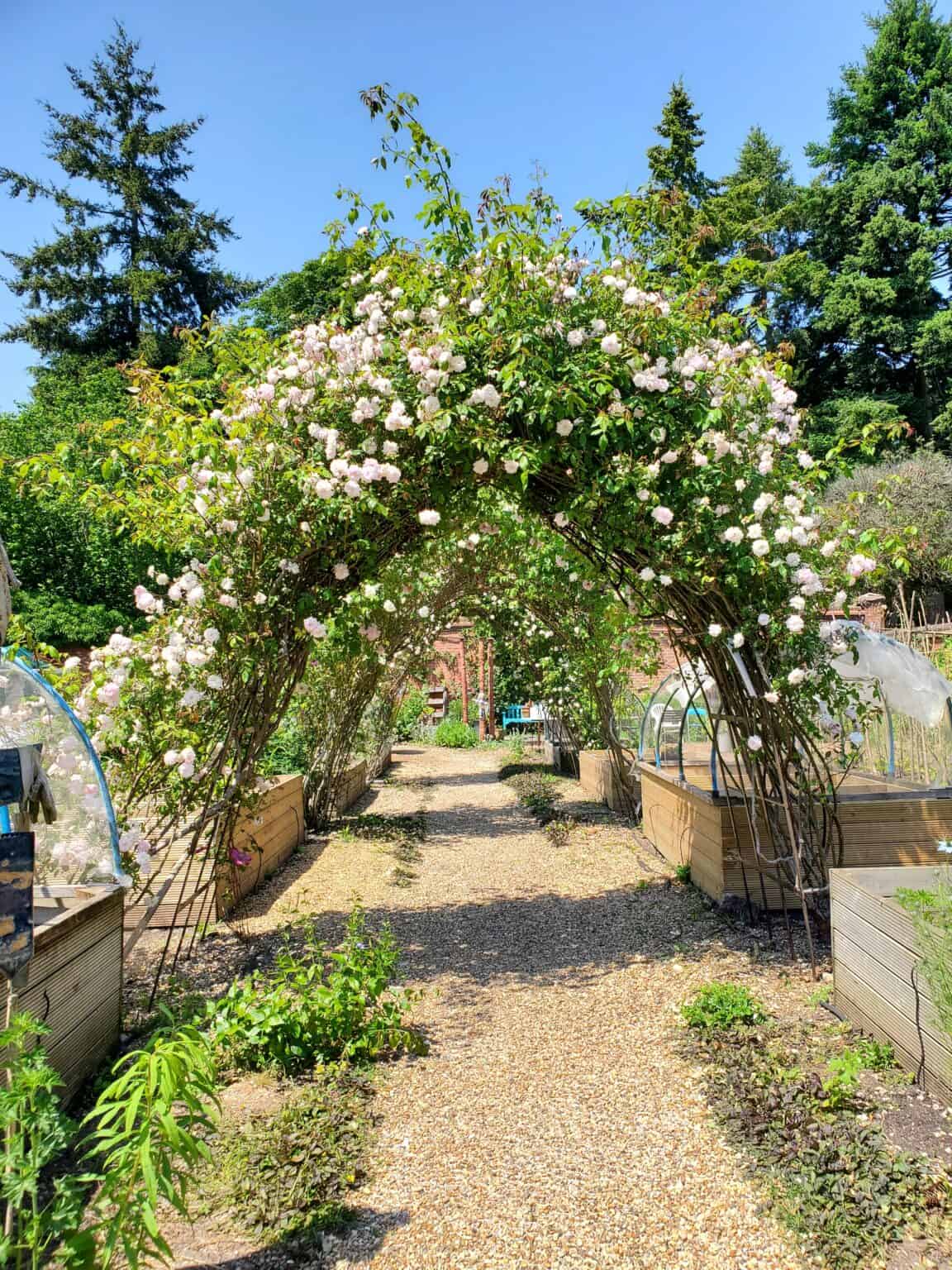 A visit to Patchworking Gardens in Dorking | Surrey Hills Society
