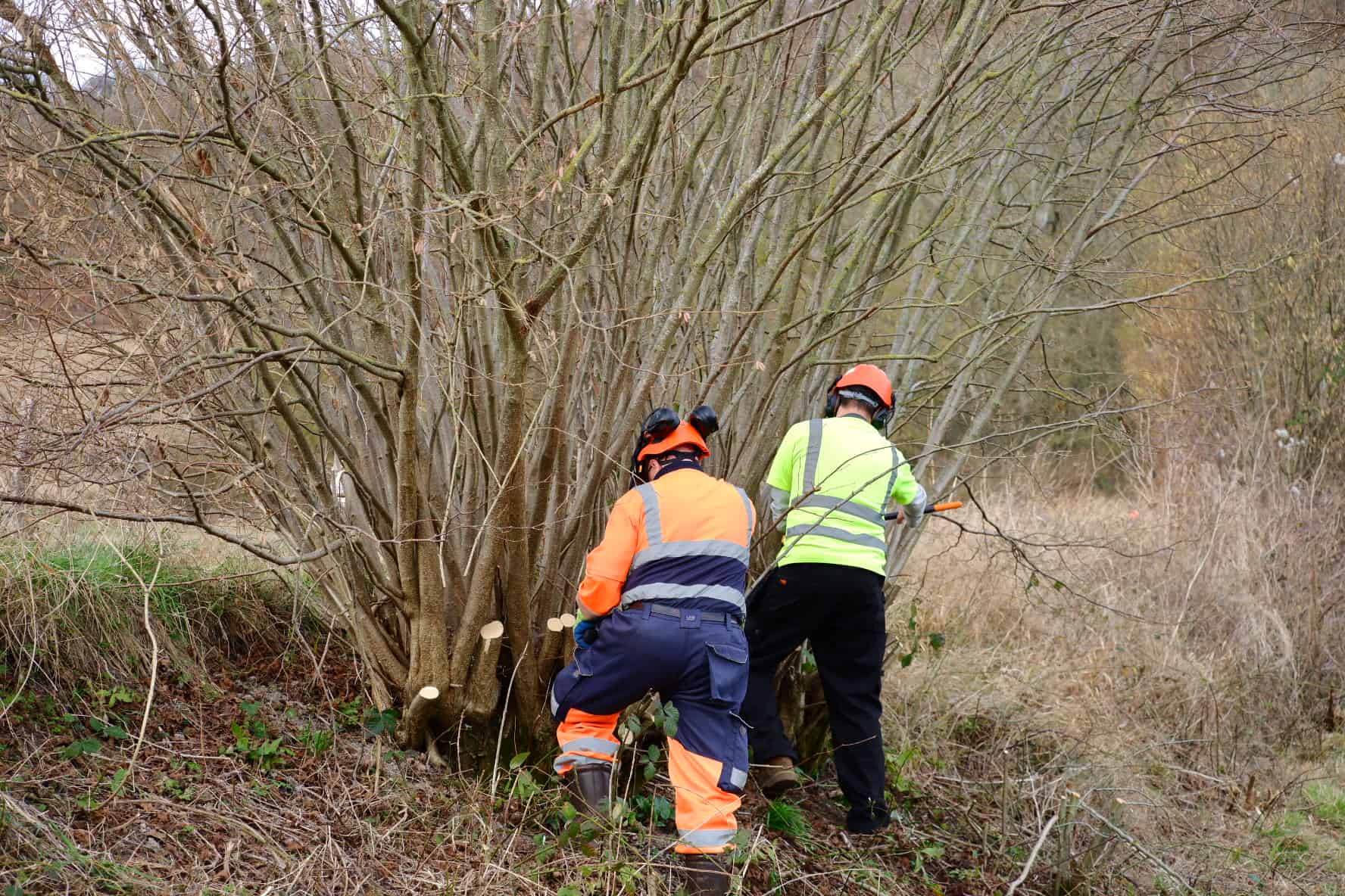 Working in Partnership with Communities – Surrey Choices’ Celebrating ...