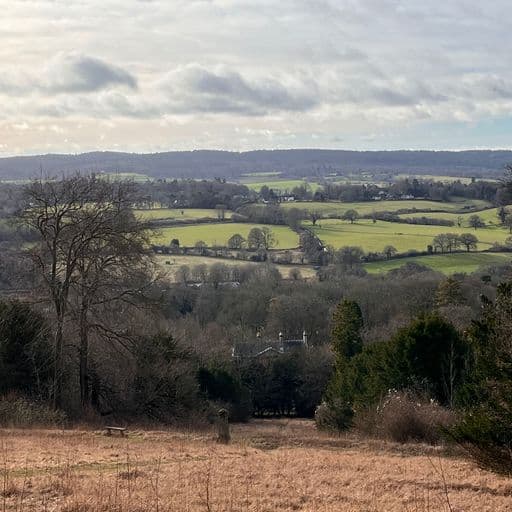 Explore Shere Woodlands and Netley Park as part of Guildford Walkfest ...