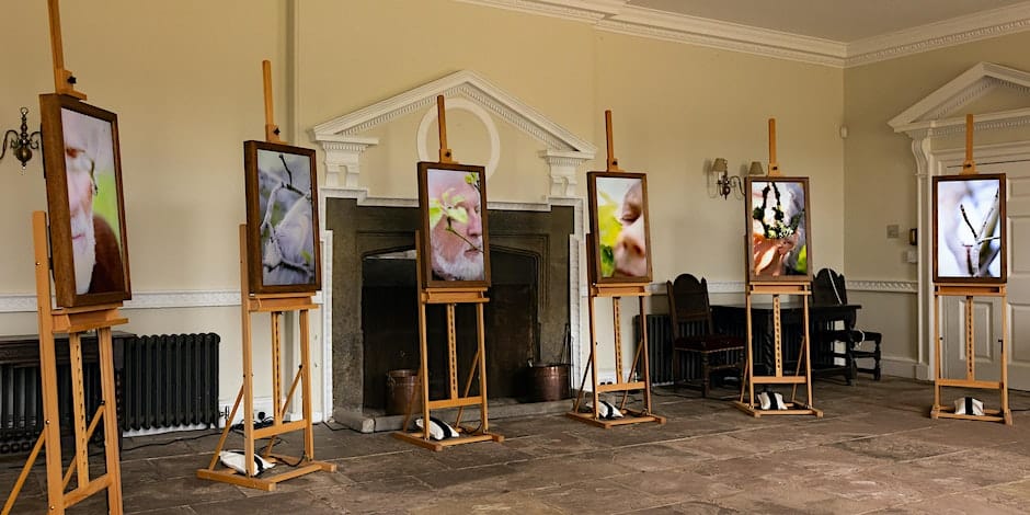 Orchard Portraits – Meet the Artists | Surrey Hills Society