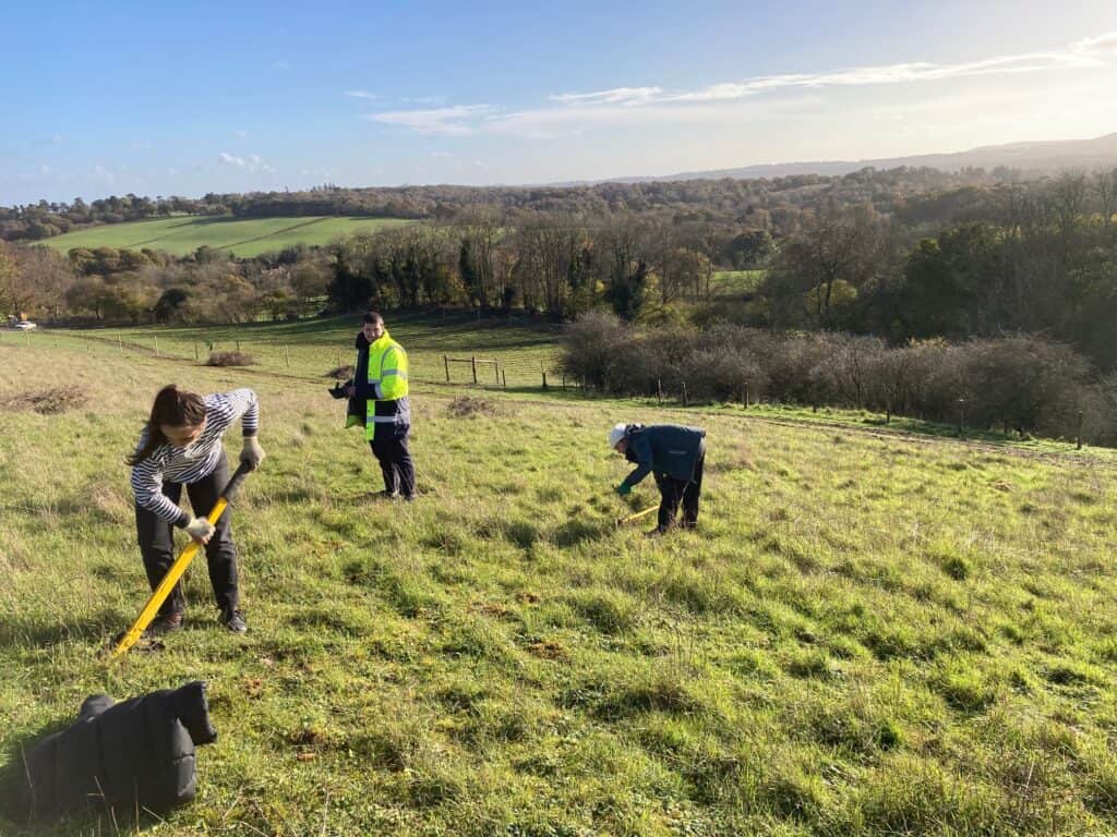 My Green Future – Environmental Volunteering Programme for 18-24 year ...