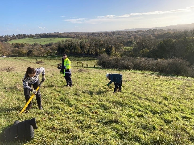 Conservation | Surrey Hills Society