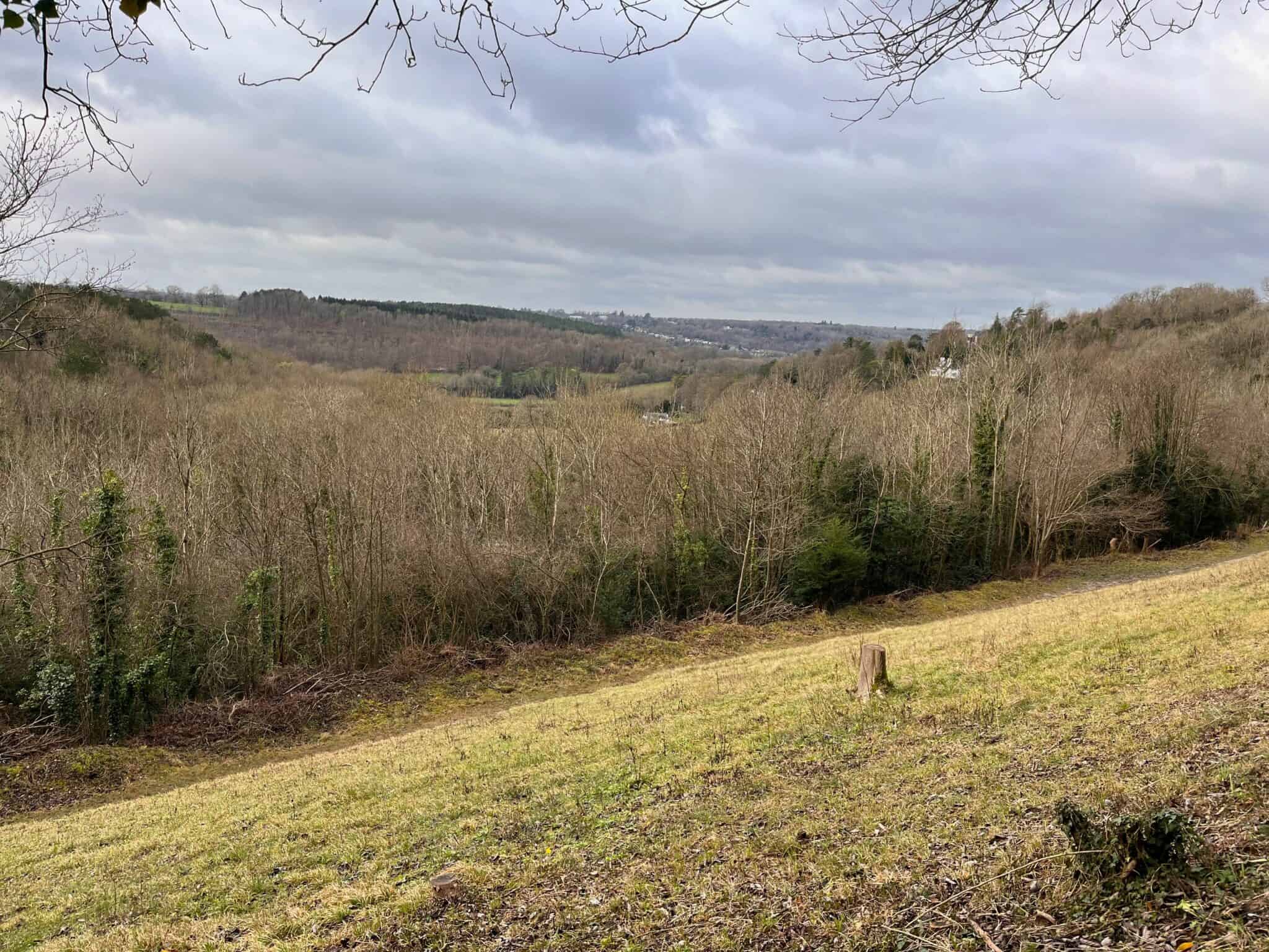 Woldingham Circular – First Sunday of the Month Walk | Surrey Hills Society