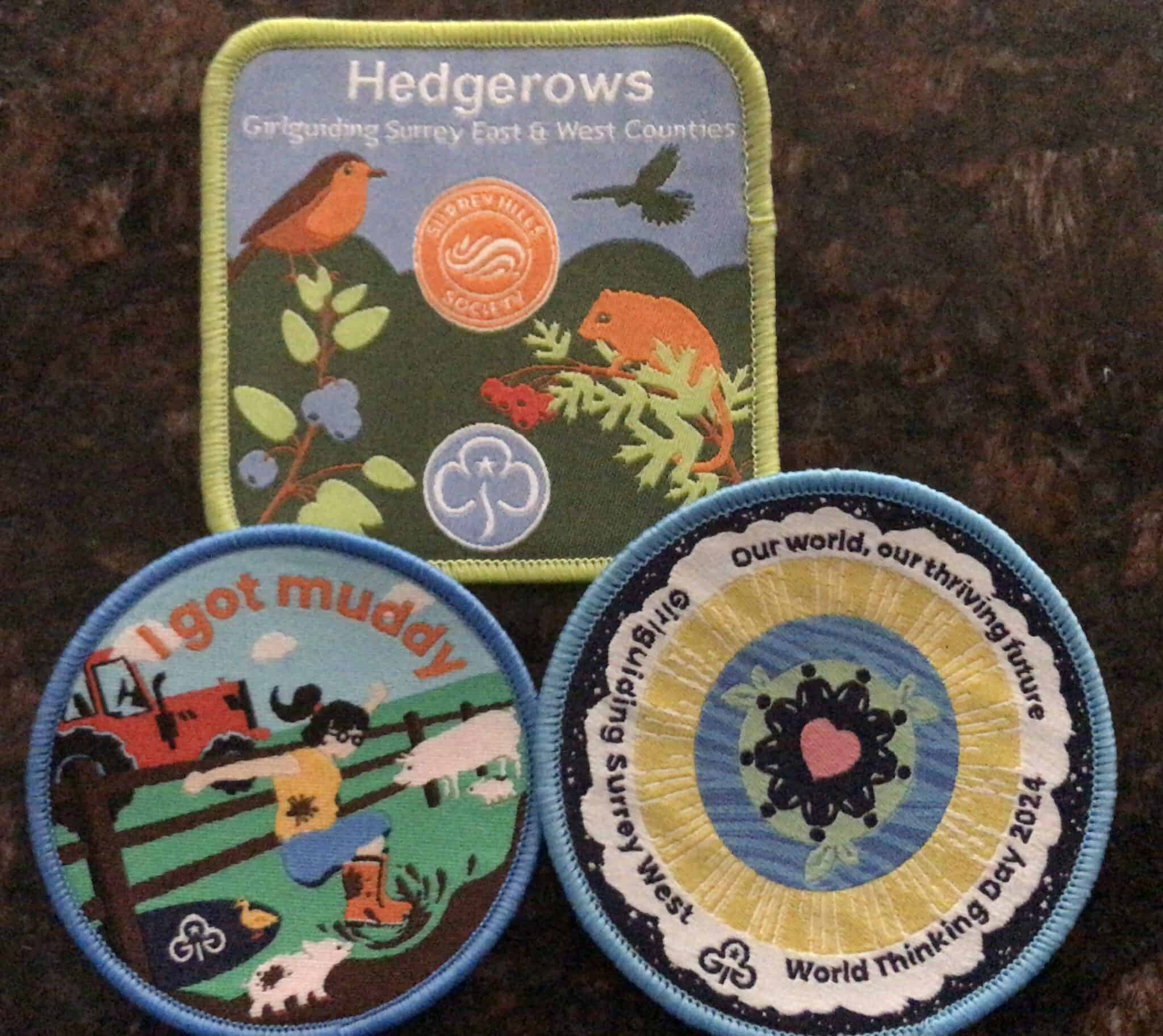Girl Guides receive Surrey Hills Hedgerow Badge | Surrey Hills Society