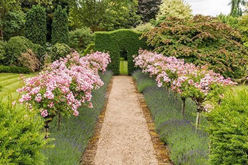 A visit to a garden with Gertrude Jekyll connections at Lower House ...