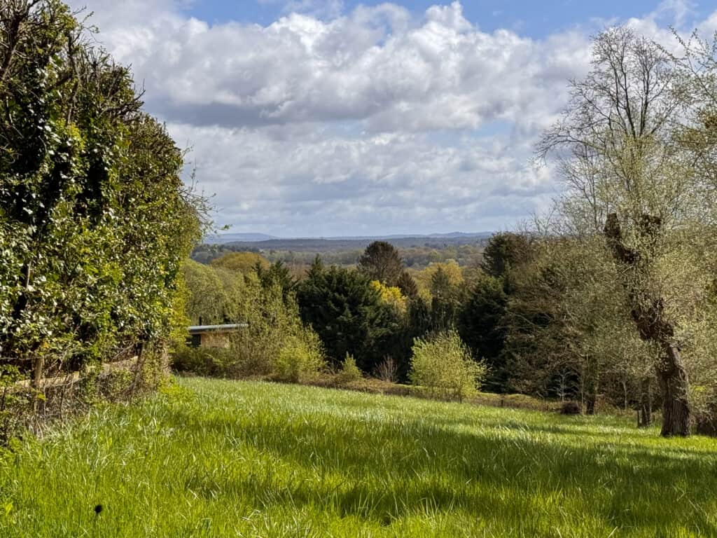 Discover Dockenfield | Surrey Hills Society