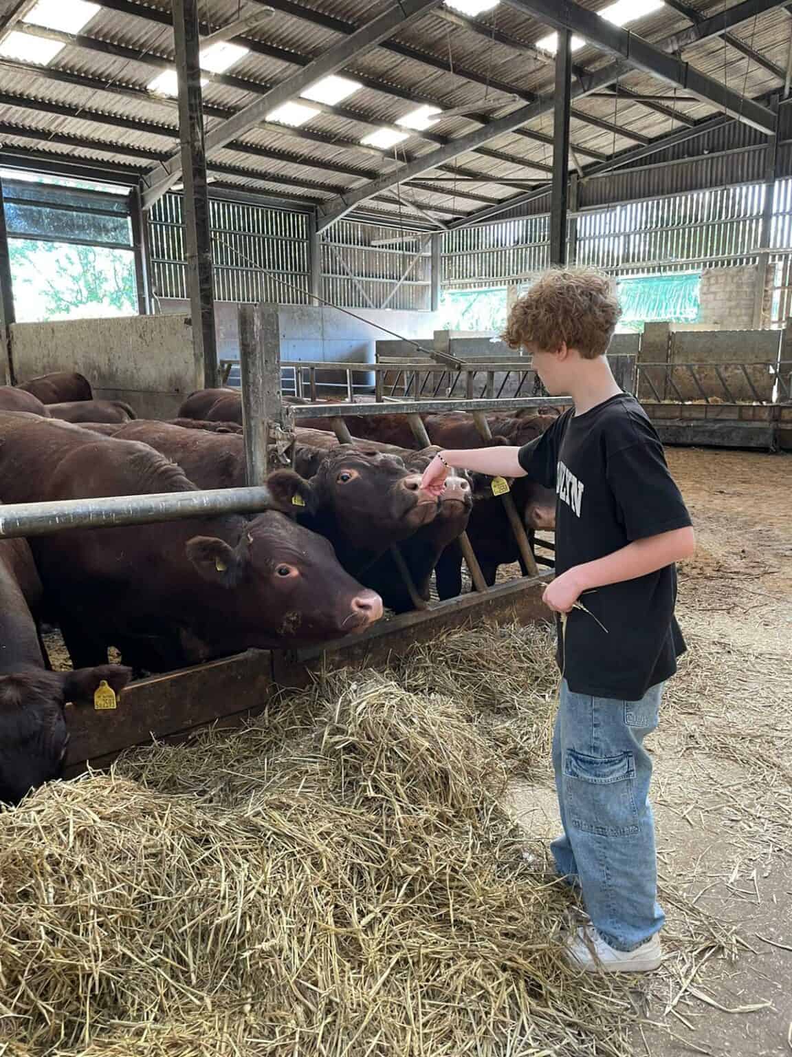 Farm for Health. Supporting Young People with Mental Health ...