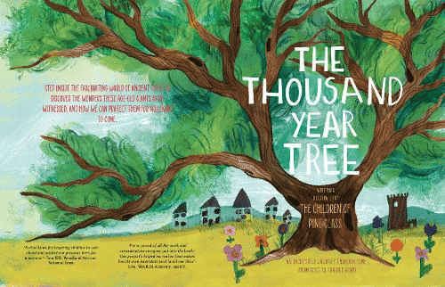 The Thousand Year Tree now available to purchase | Surrey Hills Society