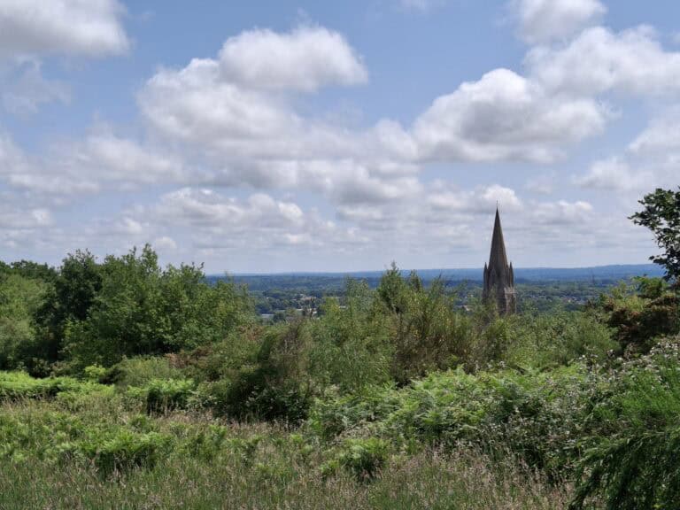 Free Walk of the Month – Explore Redhill Common and Earlswood Lakes ...