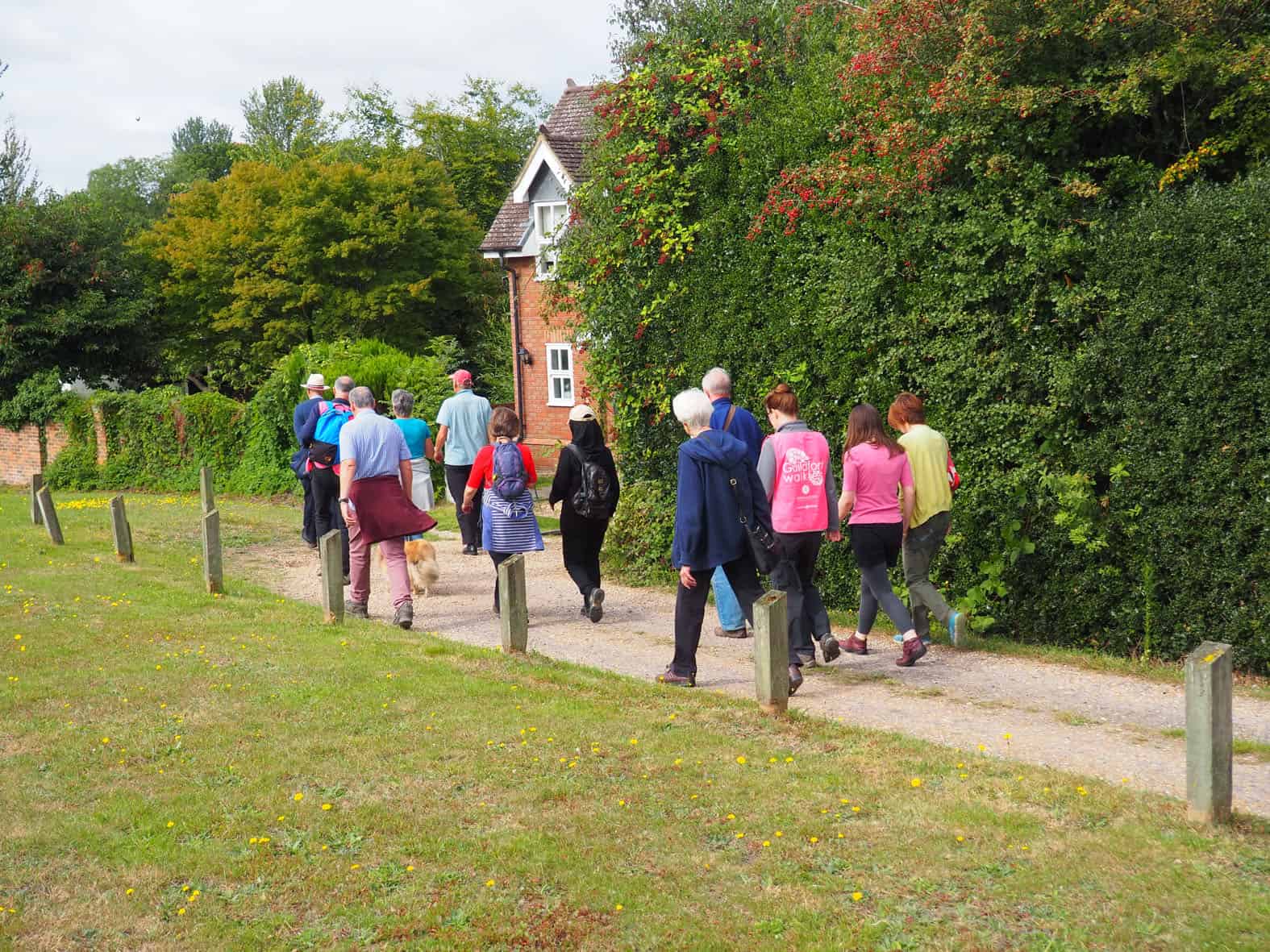 Follow the Fox Way between Worplesdon and Normandy as part of Guildford ...